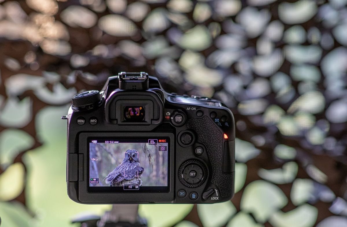 [Review] Canon EOS 90D có gì mà bao người mê mệt? - Review Máy Ảnh